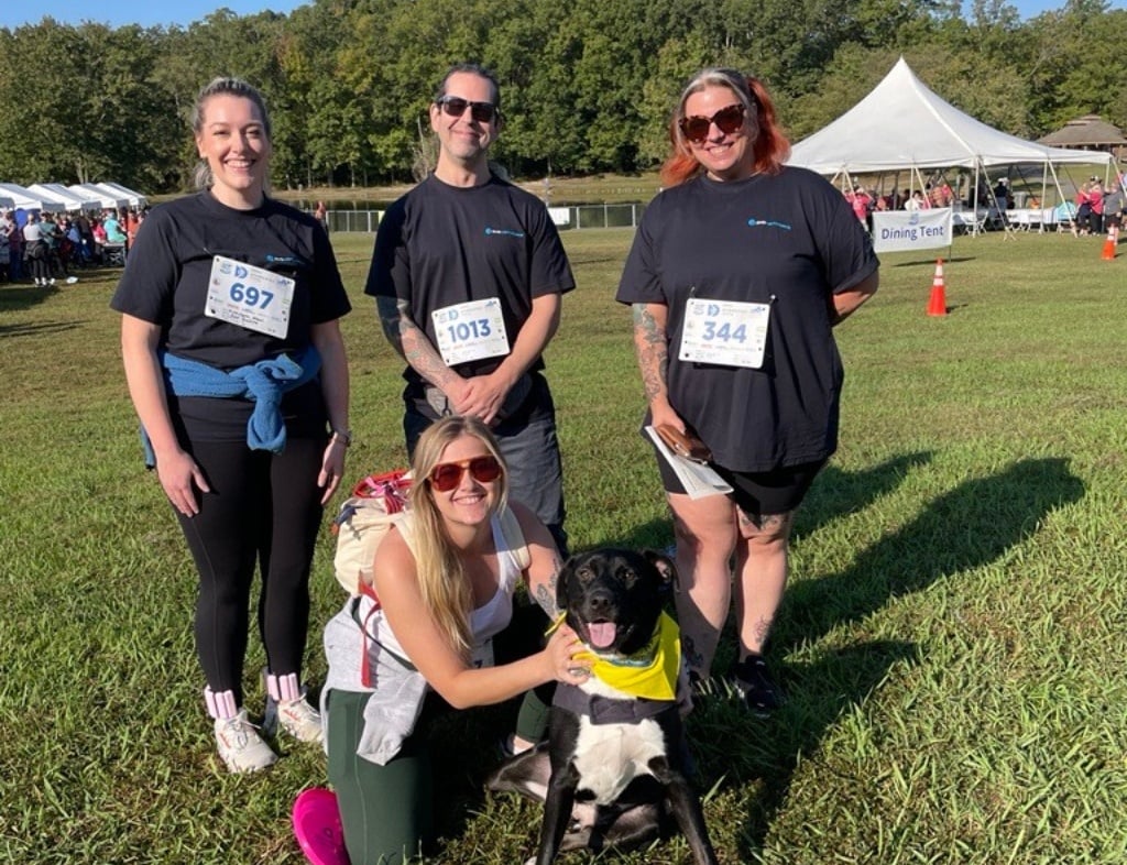 DVD Meet the Team | DVD Networks